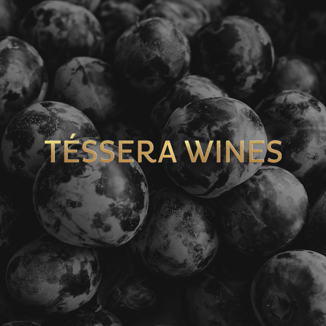 Tessera Wines Foxtrot - Neon Creative