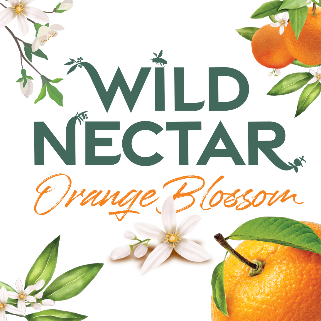 Wild Nectar Orange Blossom - Neon Creative